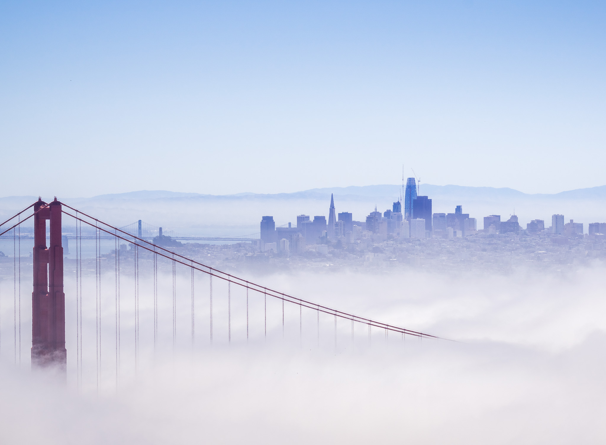 Revitalization Strategies | San Francisco